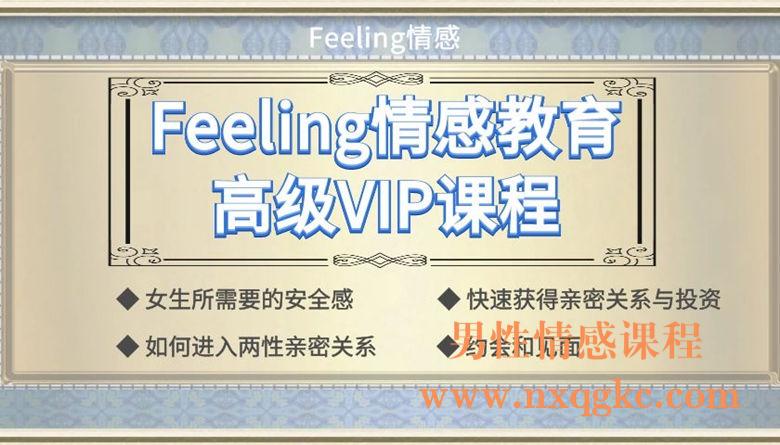 Feeling情感高级VIP课程 - 男性情感课程